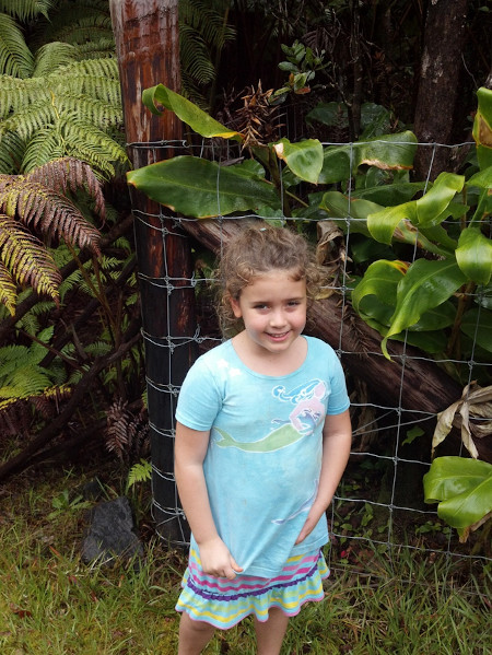 Abby's Ohana Tea | Hawaii | Portland | Seattle | San Francisco | Online