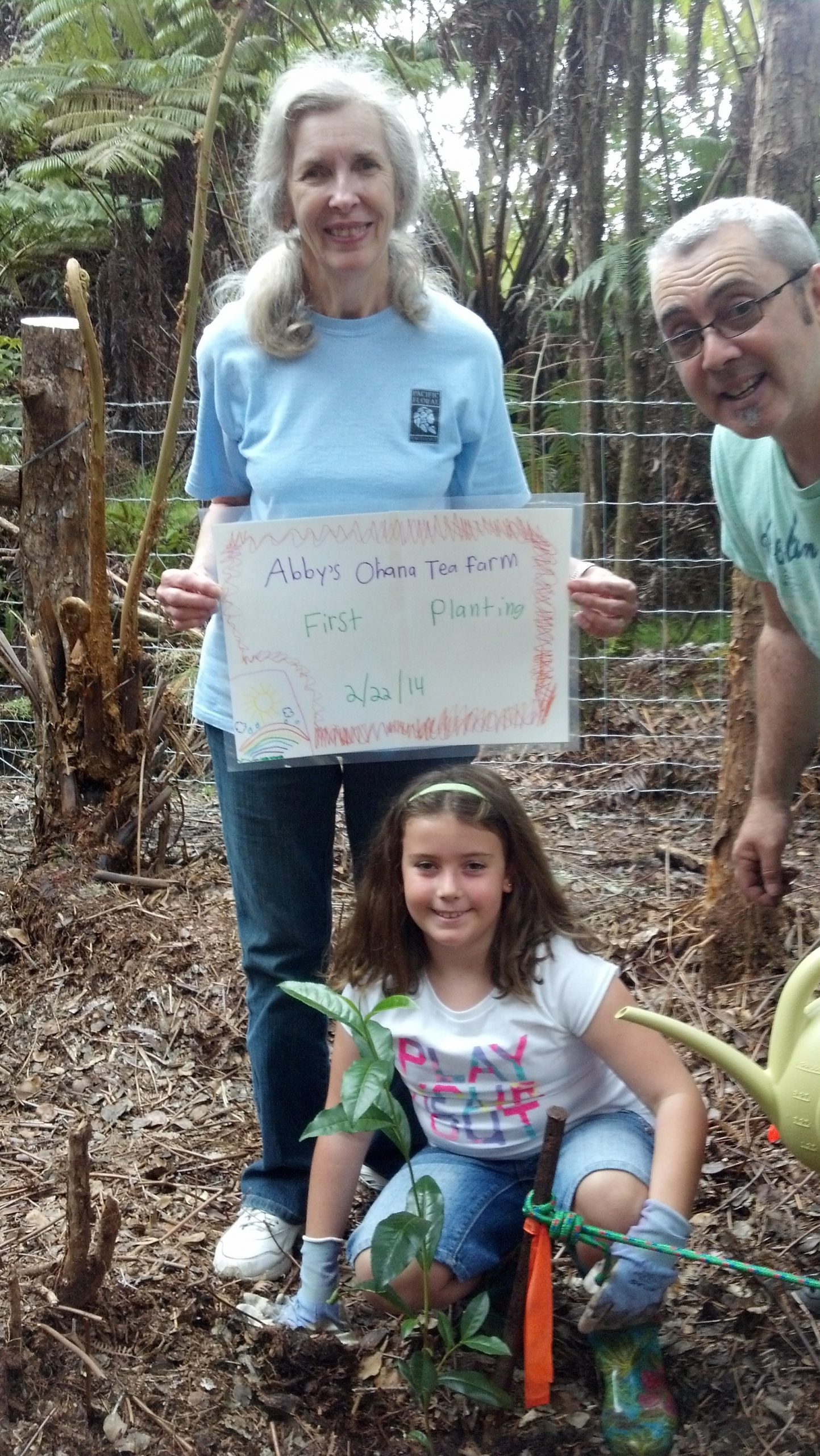 Abby's Ohana Tea | Hawaii | Portland | Seattle | San Francisco | Online